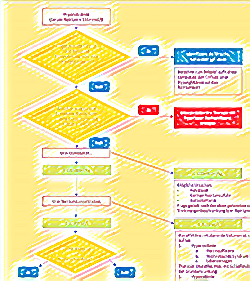 Hyponatriämie Flow Chart